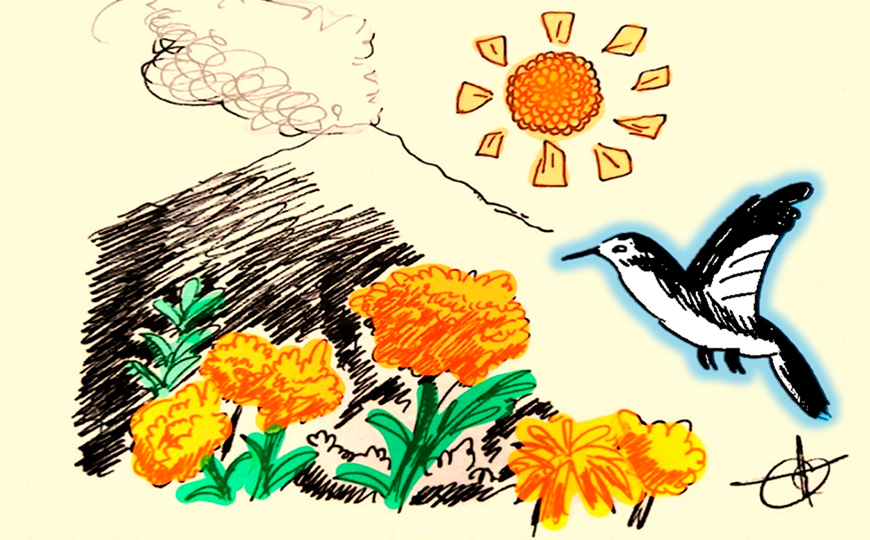 Cempasúchil: la flor de 20 pétalos | UPRESS