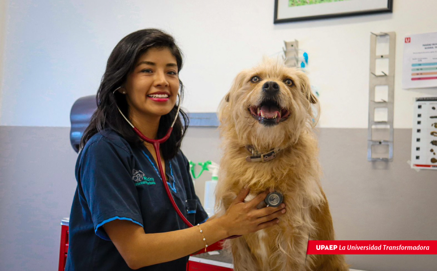 Estudiante UPAEP gana beca internacional | UPRESS